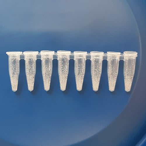 Tough micro-organism lysing VK05 prefilled 96 well-plate - Bertin Corp